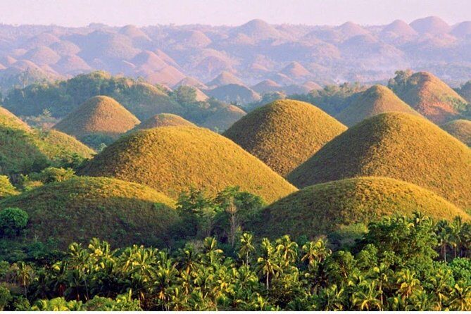 7 Days private tour in Philippines: Bohol-Camiguin - A Deep Dive into the 7-Day Philippines Adventure