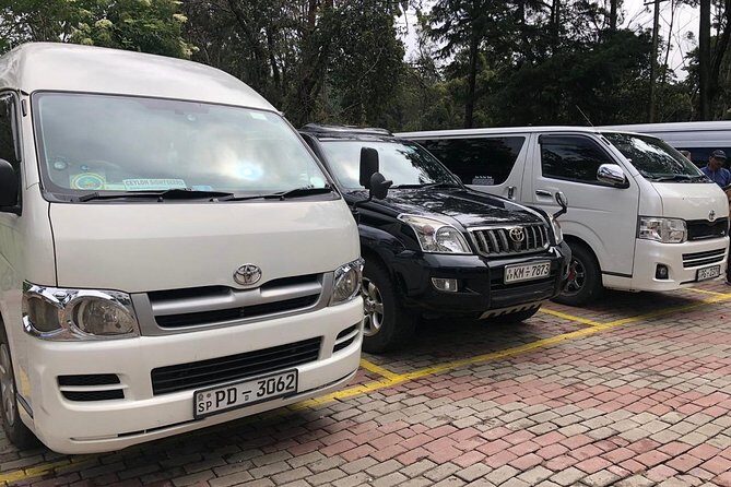7 Days Private Transportation in Sri Lanka with Guide - Pros and Cons from Real Experiences