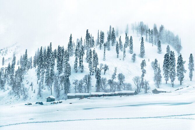 7 Days Private Travel Psychology Journey to Unseen Kashmir - Why This Tour Is a Great Value