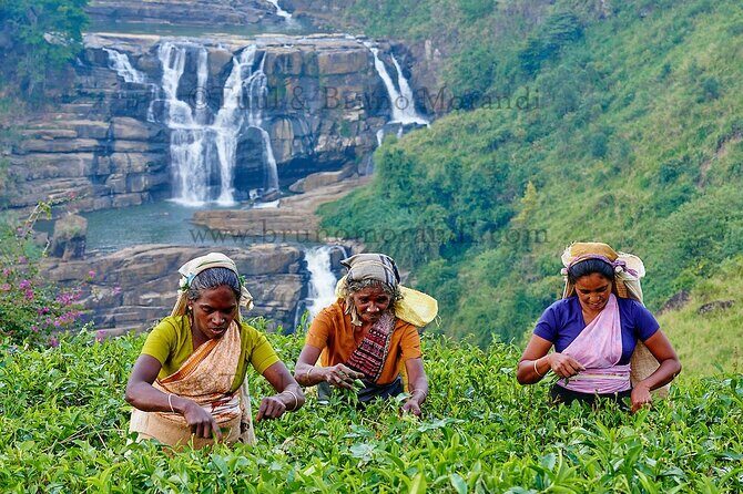 7 Days Ramayana Trails Tour in Sri Lanka - Key Points