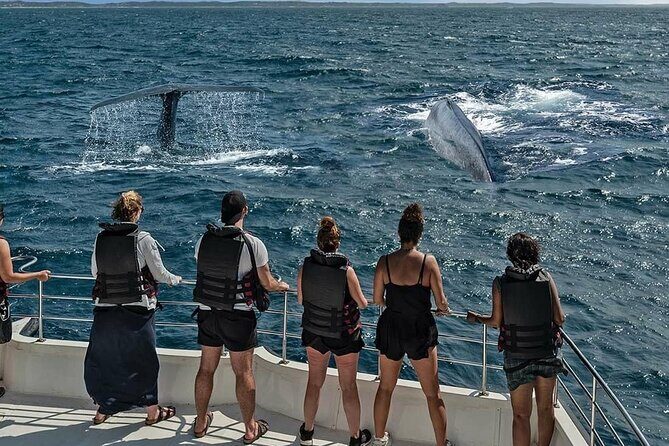 7 Days Round Tour in Private Car/Van with Chauffer - Who is This Tour Best For?