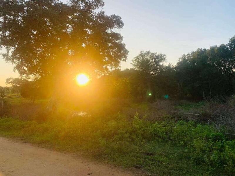 7 days Round tour in Sri Lanka - Key Points