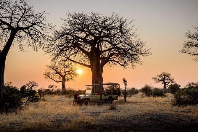 7 Days Safari - Key Points