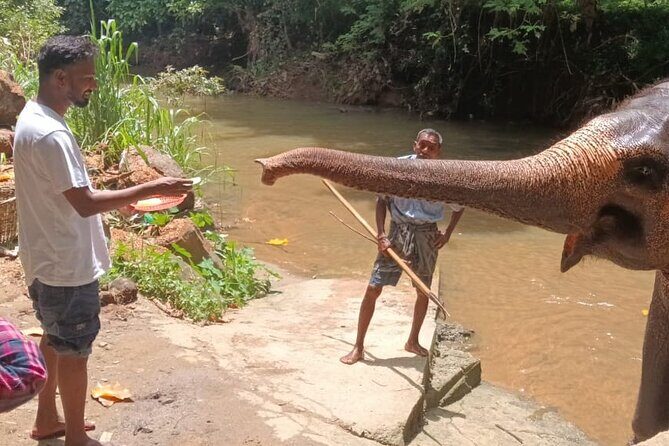 7 days Sri Lanka | 4 star hotels with BB | Private tour - Why This Tour Offers Value