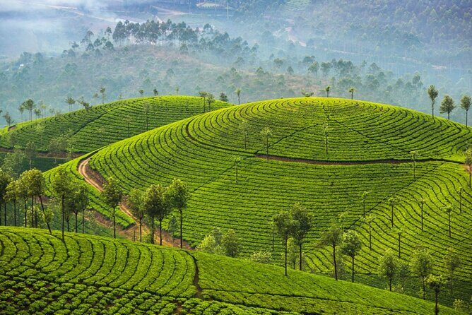 7 Days Sri Lanka Adventure and Culture Tour - Coastal and Marine Encounters