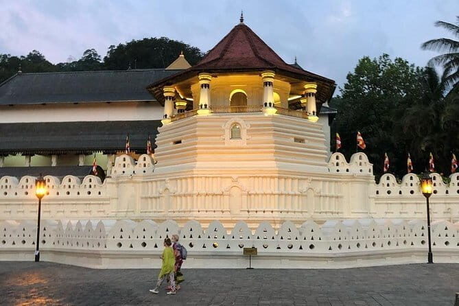 7 Days Sri Lanka Culture and Nature Private Tour from Colombo - Who Would Love This Tour?