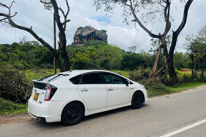 7 Days Sri Lanka Safari Tour - The Sum Up: Who Should Consider This Tour?