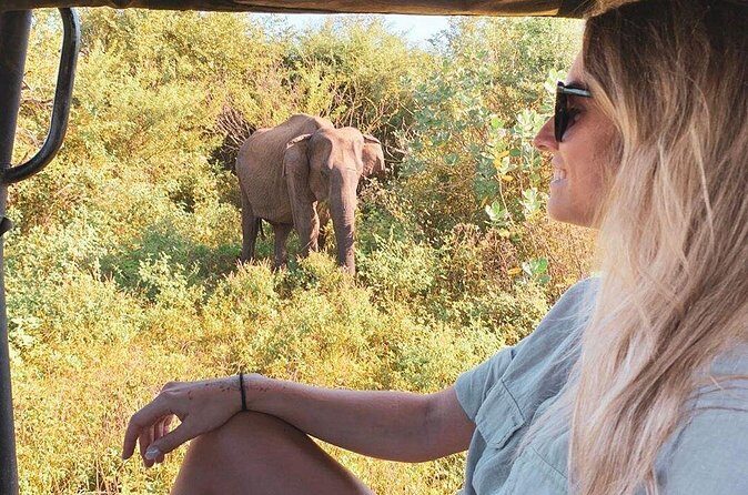 7 Days Tour in Sri Lanka Hotels with Breakfast and Luxury Car - Who Should Consider This Tour?