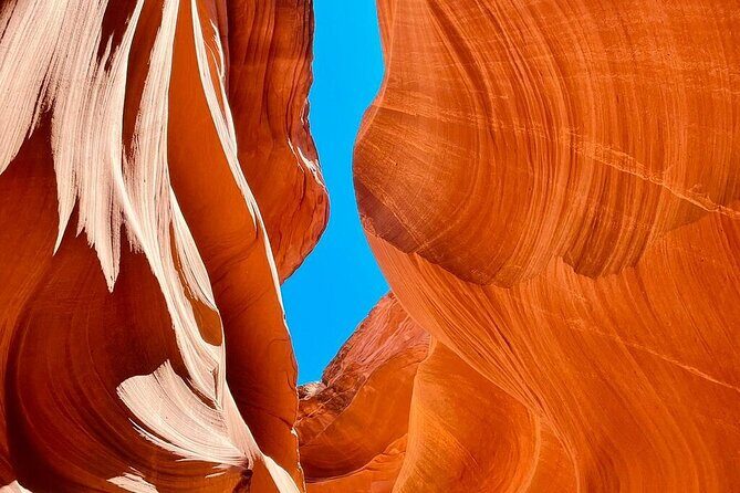 7 Days Tour of Los Angeles, Vegas, Yellowstone and Salt Lake City - Who Should Consider This Tour?