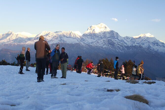 7 Days Tour on Poon Hill Trek and Chitwan Jungle Safari - Key Points