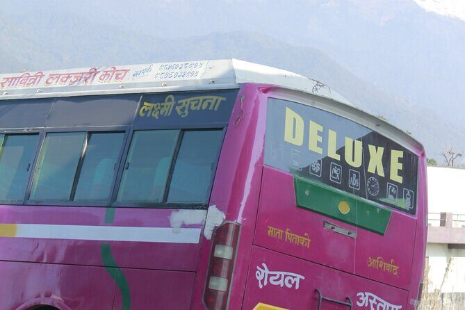 7 Days Tour on Poon Hill Trek and Chitwan Jungle Safari - Authentic Experiences and Authentic Challenges