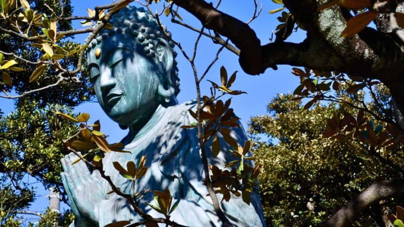 7 Gods of Fortune in Historic Tokyo: Temples of Yanaka - Key Points