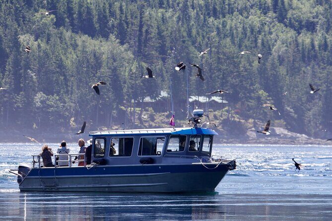 7 Hour Big Animal Encounter - The Wildlife Encounters