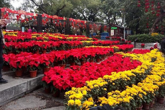 7-Hour Customised Private Guangzhou Sightseeing and Shopping Tour - Who Should Consider This Tour?