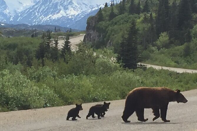 7 Hour Private Emerald Lake Van Excursion - Authentic Experiences & Guide Highlights