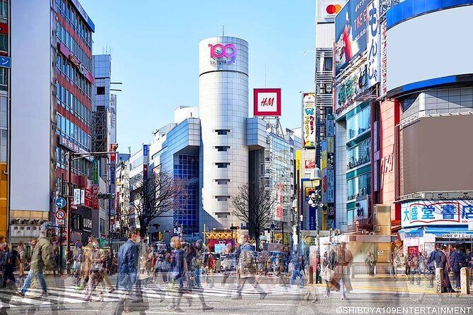 7 Hour Private Tour of Tokyo - Practicalities and What to Expect