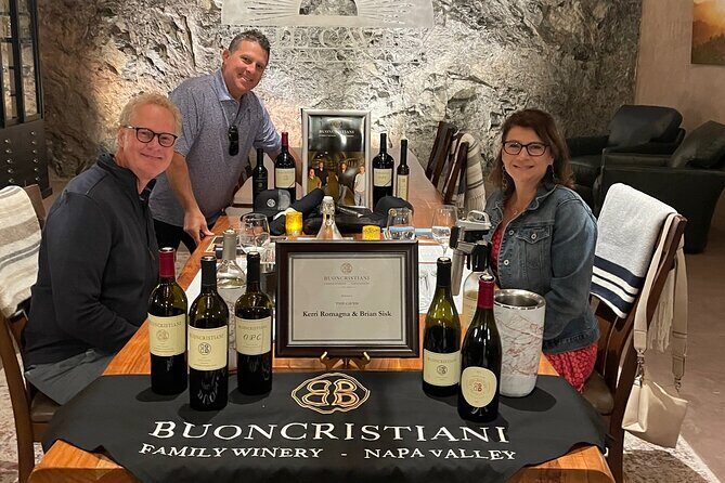 7 Hour Private Wine Tasting in Napa or Sonoma Valley - Who Should Consider This Tour?