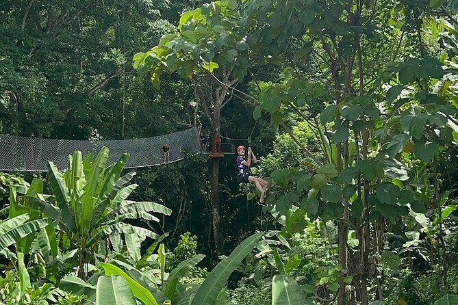7 Hour Sticky Waterfall and Zipline Adventure - What to Expect from the Jungle Thrills and Natural Playgrounds