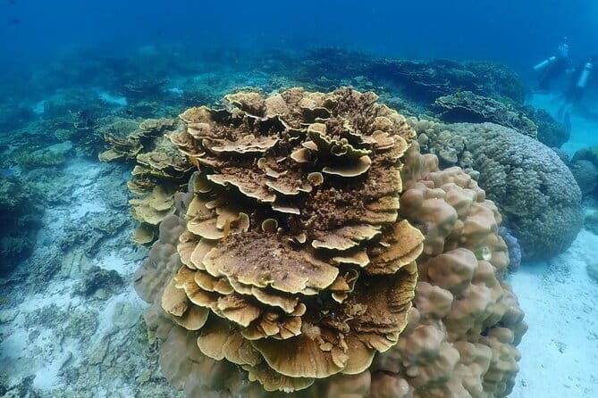 7 Hours Banana Beach Shared Tour - FAQ