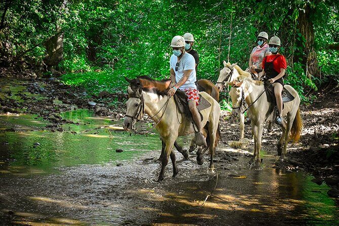 7 Hours of Private Hiking, Zip Line, and Boogie Horseback Riding! - The Sum Up: The Perfect Day for Adventure Seekers