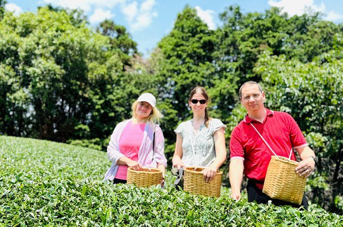 7 Hours Private Guided Tour Uji and Wazuka Matcha Farm - FAQ