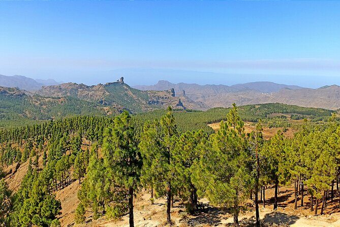 7-Hours Private Tour Volcanoes and Wine Region in the Canary Islands - An In-Depth Look at the Itinerary