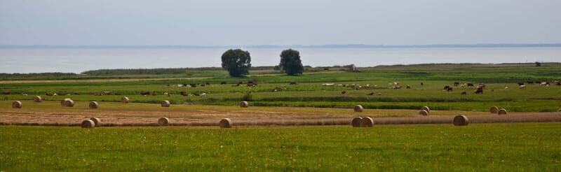 7-lake tour: nature & enjoyment on Usedom - Exploring the 7-Lake Tour: Nature & Enjoyment on Usedom