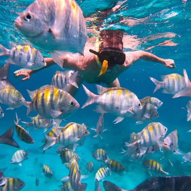 7 Mile Beach & Ricks Café: Full Day in Negril - FAQ