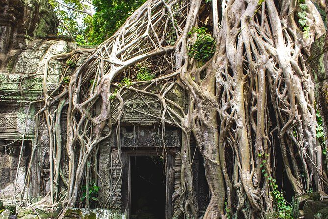 7-must See Temples in Angkor Park (Private Guided Tour) - Who Should Consider This Tour?