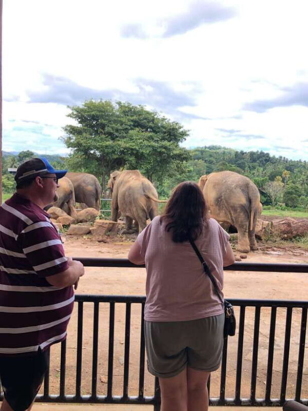 7 night 8 days Tour in Srilanka - The Value for Travelers