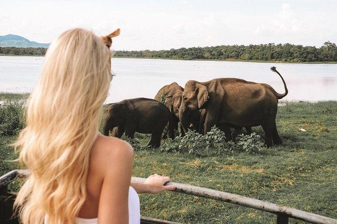 7 Nights Private Tour Of Sri Lanka - Final Thoughts