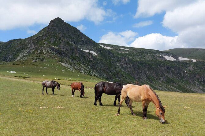 7 Rila Lakes and Rila Monastery Small Group Day tour from Sofia - FAQ
