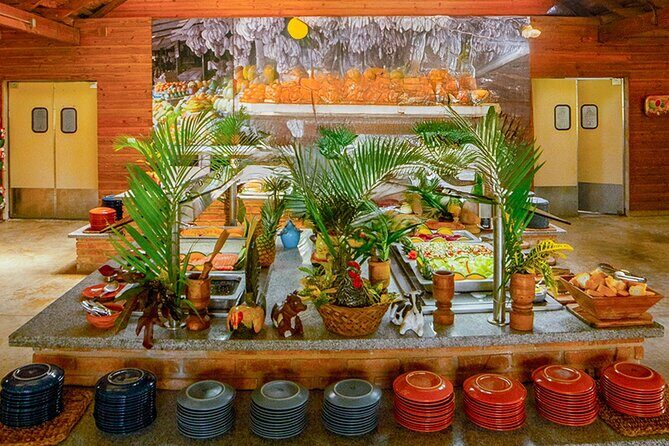 7 Tours in 1 day - Zipline, ATV, Horseback Punta Cana & Bavaro - The Experience: What Travelers Can Expect