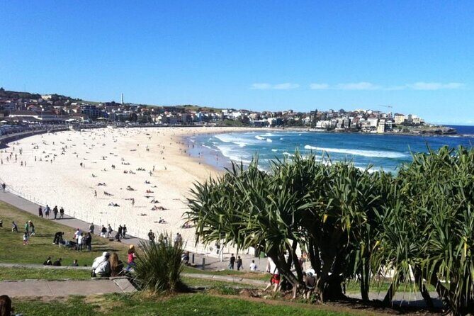 7 Wonders of Sydney East/CBD Luxury Private Tour - Key Points