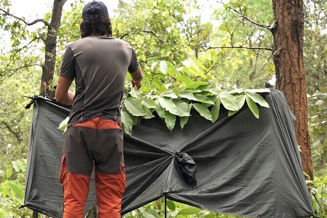 72 Hours Jungle Survival Learn to Thrive - 72 Hours Jungle Survival Learn to Thrive: A Deep Dive into the Wilderness Challenge