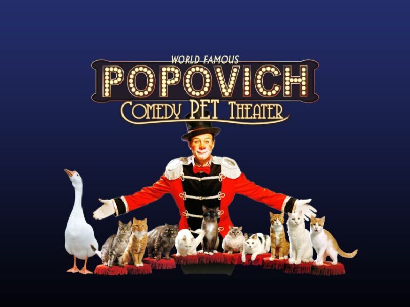 75-Minute Popovich Comedy Pet Theater in Las Vegas - Analyzing the Value