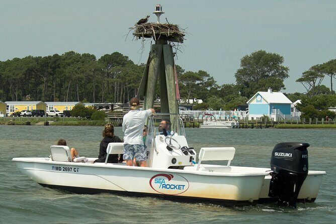 75 Minute Private Party Back Bay Sunset Cruise in Ocean City, MD - A Close Look at the 75-Minute Private Back Bay Sunset Cruise in Ocean City, MD