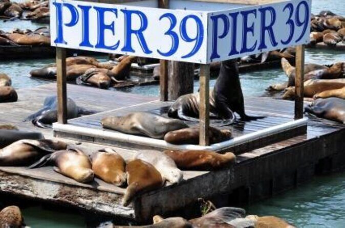 7D DarkRide Admission at Pier 39 - Introduction: Is the 7D DarkRide at Pier 39 Worth Your Time?