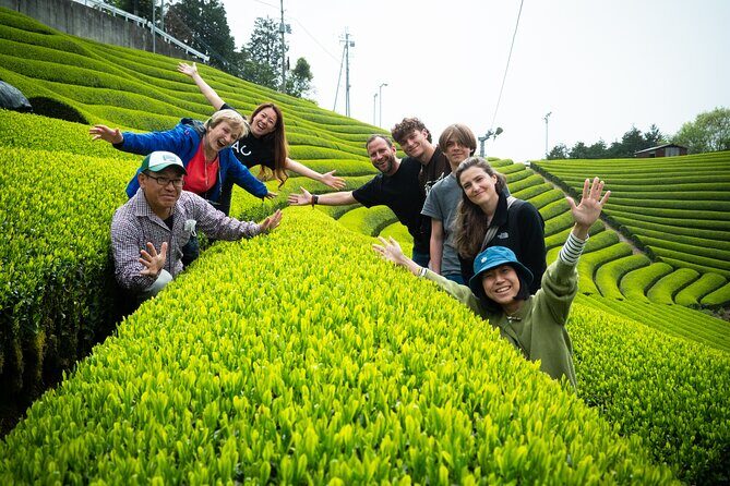 7hr Private Wazuka True Hidden Kyoto Matcha Farm Experience - FAQ