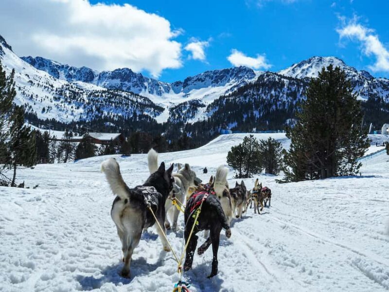 8-10km. Husky Safari from Rovaniemi and visting the Kennel - Key Points