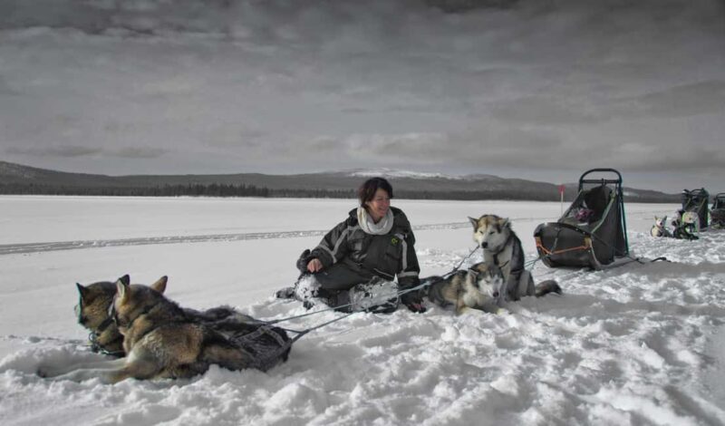 8-10km. Husky Safari from Rovaniemi and visting the Kennel - A Closer Look at the Husky Safari Experience