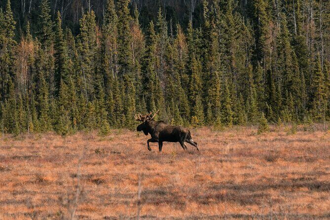 8-12 Hour Private Arctic Circle Experience in Alaska with Lunch - A Deep Dive into the Journey: What to Expect on the Tour