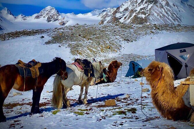 8 Day Altai Tavan Bogd Private Trekking