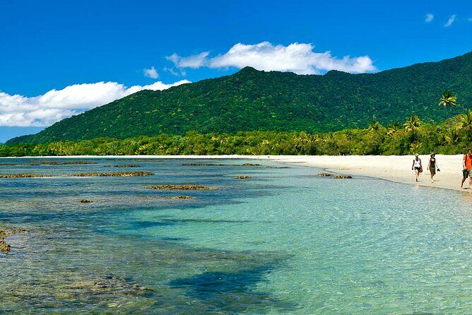 8-Day Cairns Tour: Great Barrier Reef, Kuranda, Daintree Rainforest - Introduction: What Makes This Tour Special?