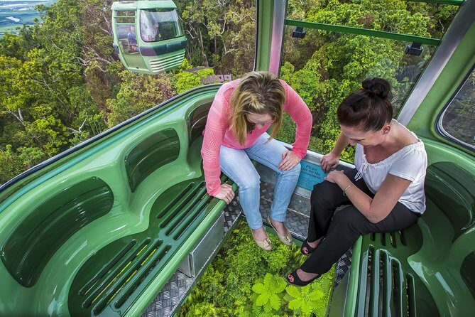 8-Day Cairns Tour: Great Barrier Reef, Kuranda, Daintree Rainforest - From the Traveler’s Perspective: What to Expect