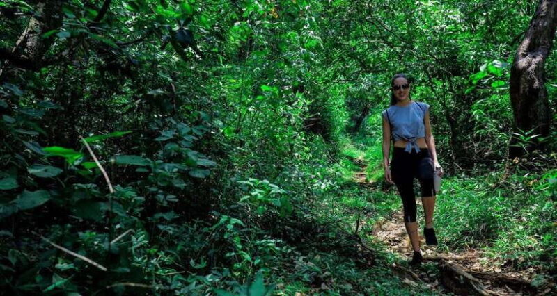 8-Day Enchanting Honeymoon Getaway" - What You Can Expect from the 8-Day Honeymoon Tour