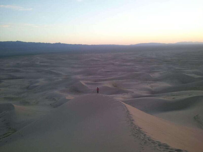 8 DAY GOBI AND CENTRAL MONGOLIA - Key Points