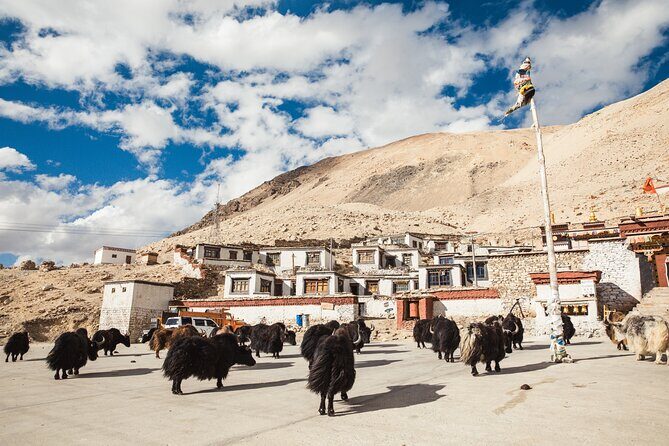 8 Day Lhasa Shigatse and Everest Base Camp Tour - Day 1: Warm Welcome in Lhasa