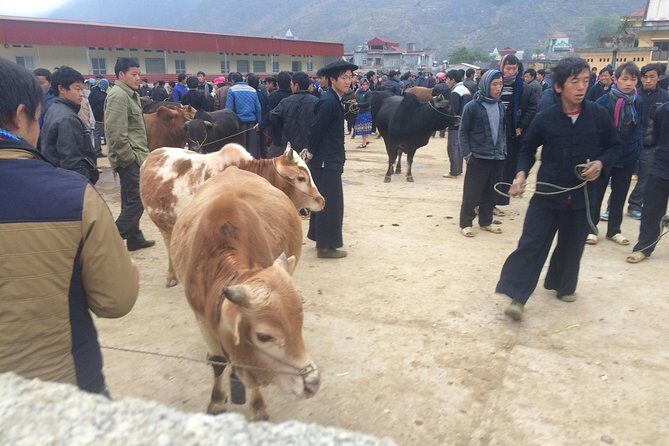 8-Day Off The Beaten Path In North Vietnam - Logistics, Comfort, and Practical Considerations