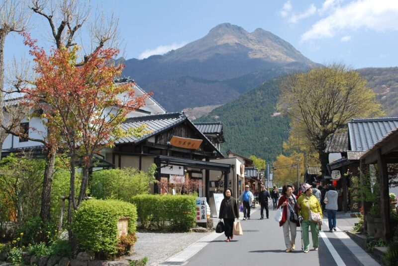 8-Day ONE WAY Bus Tour to Fukuoka from Osaka via SHIKOKU - The Experience: What You Can Expect